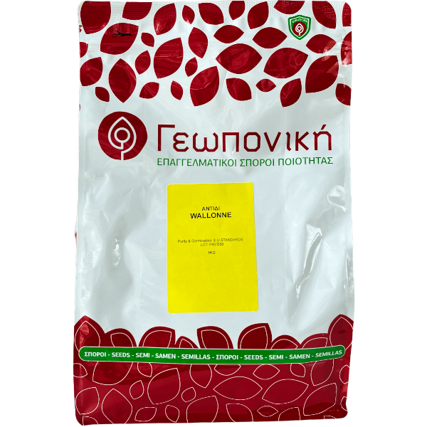 Αντίδι Wallone 1kg Ποικιλία ανθεκτική στο κρύο| Agroplace.gr